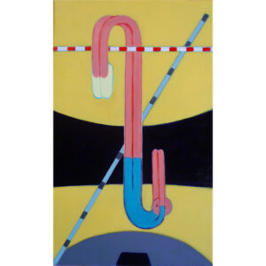 Guillaume Pinard – galerie anne barrault