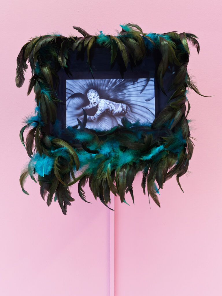 Marie Losier – galerie anne barrault