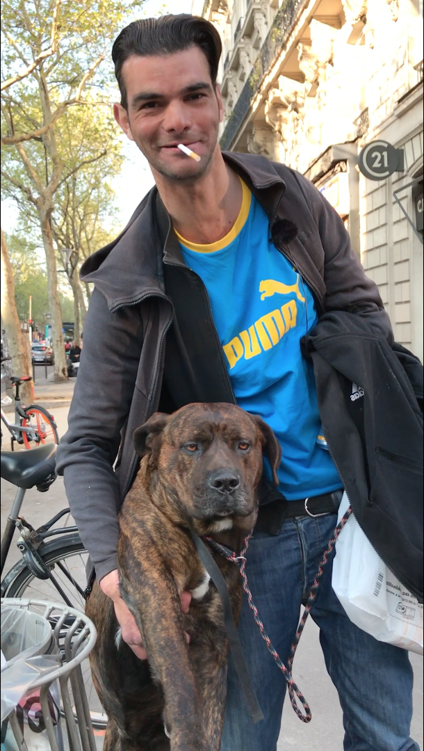 Chien – galerie anne barrault